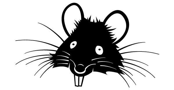 5 Rat | Free Vectors, Photos, Artwork Images | 123Freevectors