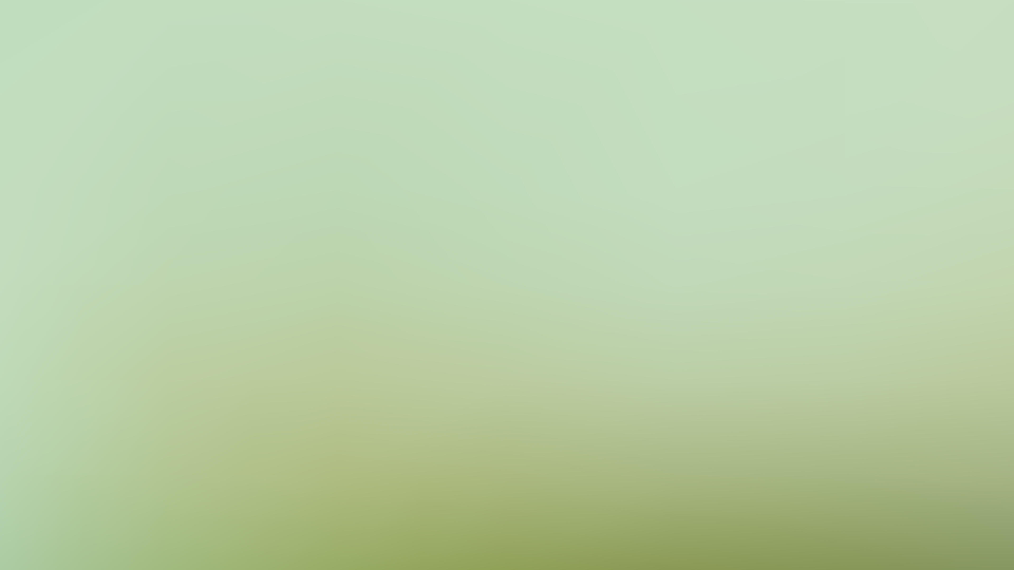 Free Pastel Green Business PowerPoint Background