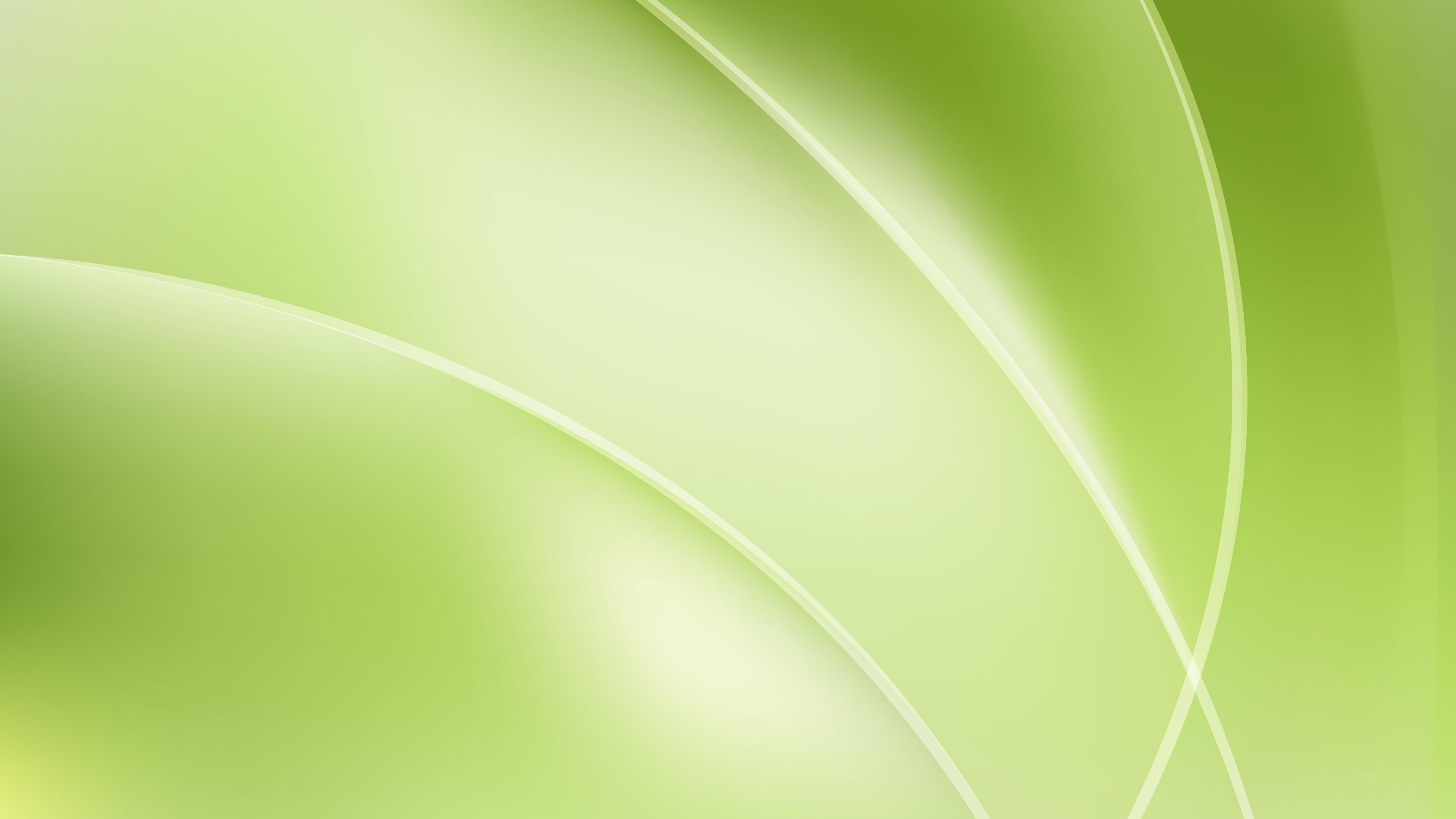 70+ Light Green Abstract Background | Free Vectors, Photos, Artwork ...