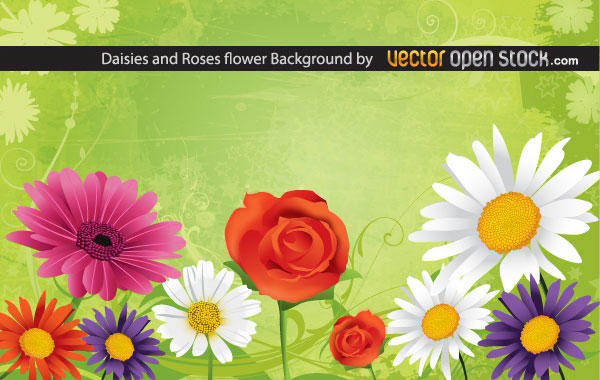 Daisy and Rose Flowers Background Design