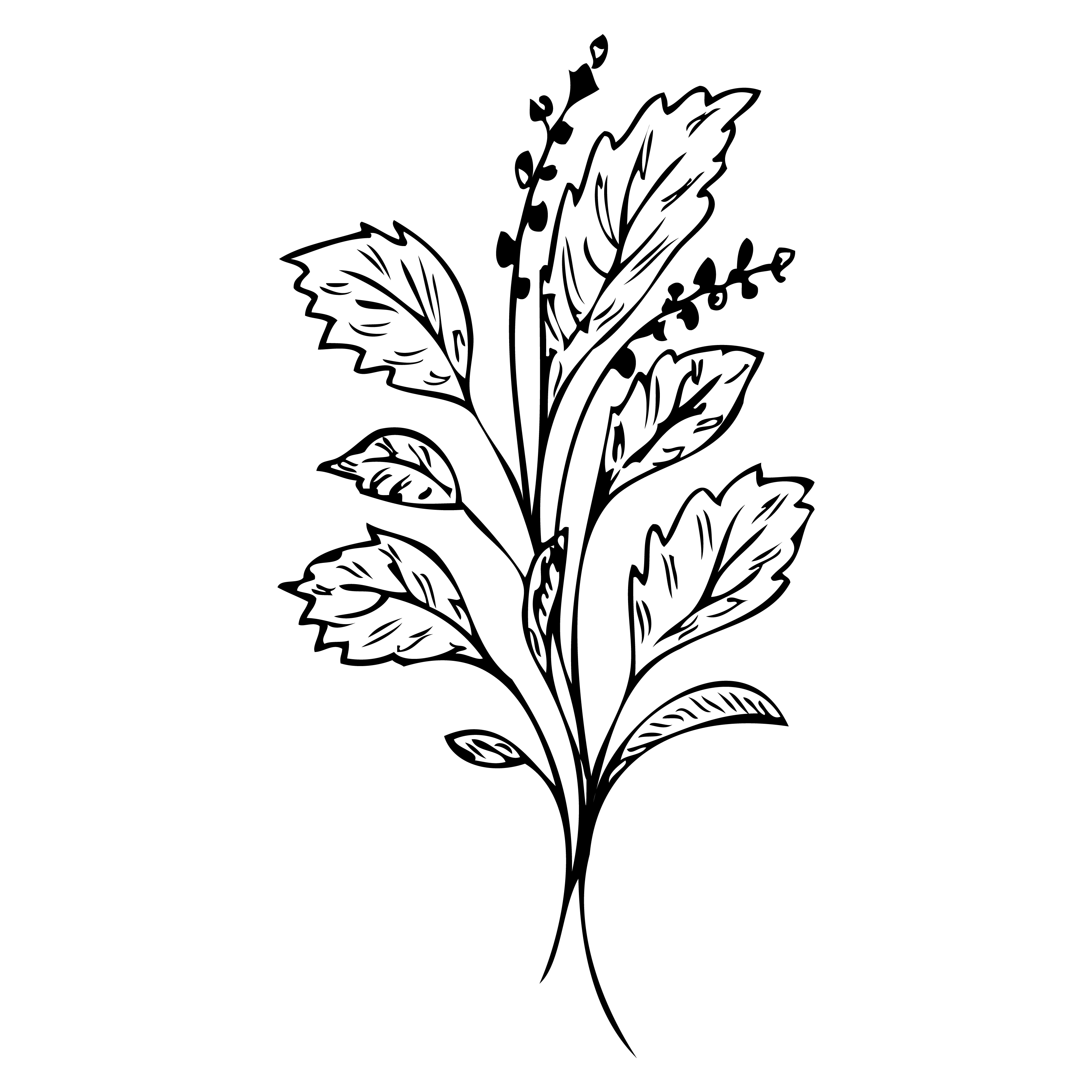 download-image-designs