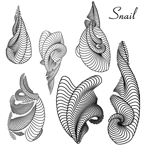 Free Vector Background with Snail Shell