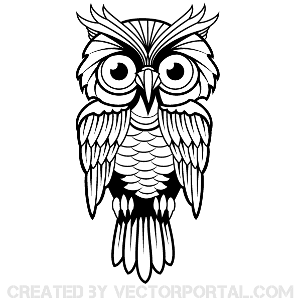 Owl Vector Art