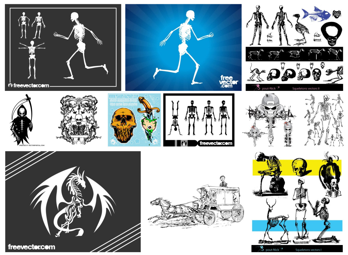 Eccentric Array Of Skeleton Vector Art Designs | 123freevectors Eccentric Array Of Skeleton Vector Art Designs | 123freevectors