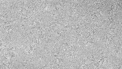 3 Grey Carpet Texture | Free Vectors, Photos, Artwork Images ...