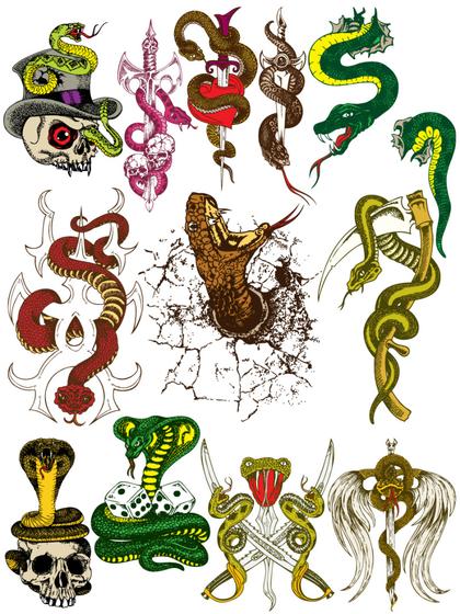 Vector Snake Illustrations