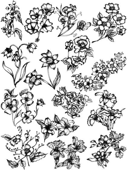 Exquisite Collection Of Vector and Photoshop Brush Packs | 123freevectors